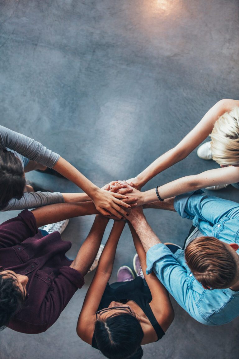 Innovations in Diagnosis and Care for Rare Diseases - Inizio